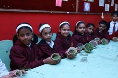 BBL PUBLIC SCHOOL – SCHOOL